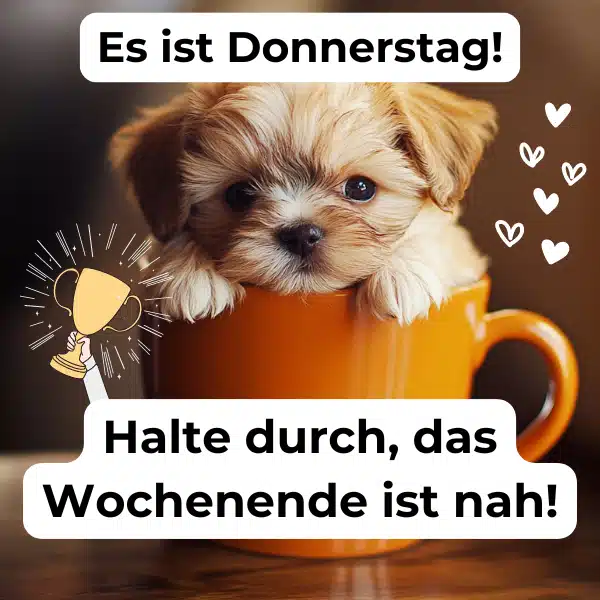 Kostenlose Guten Morgen-Bilder zum Donnerstag