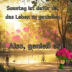 Schöne Sonntagsgrüße Bilder Kostenlos Ebenbild