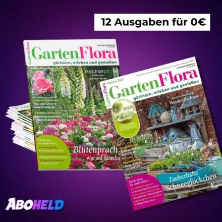 Netto-Box von utry.me extrem günstig